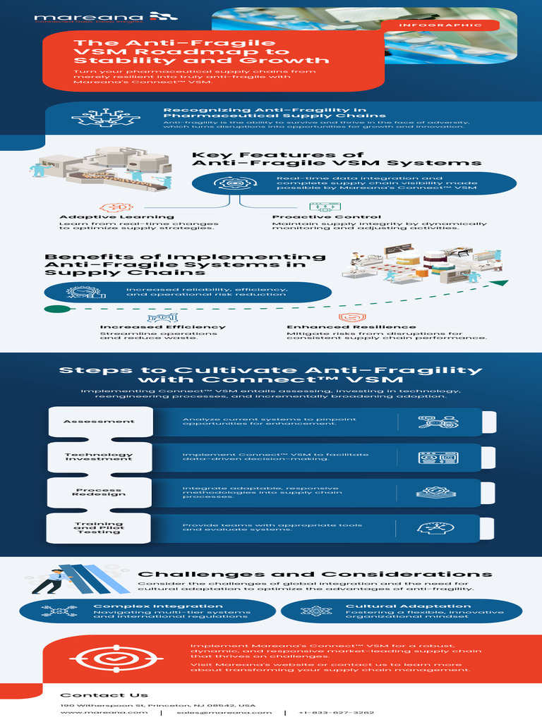 the-anti-fragile-vsm-roadmap-to-stability-and-growth | PDF | Supply ...