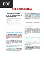 Daintree Rainforest Food Web Overview | PDF