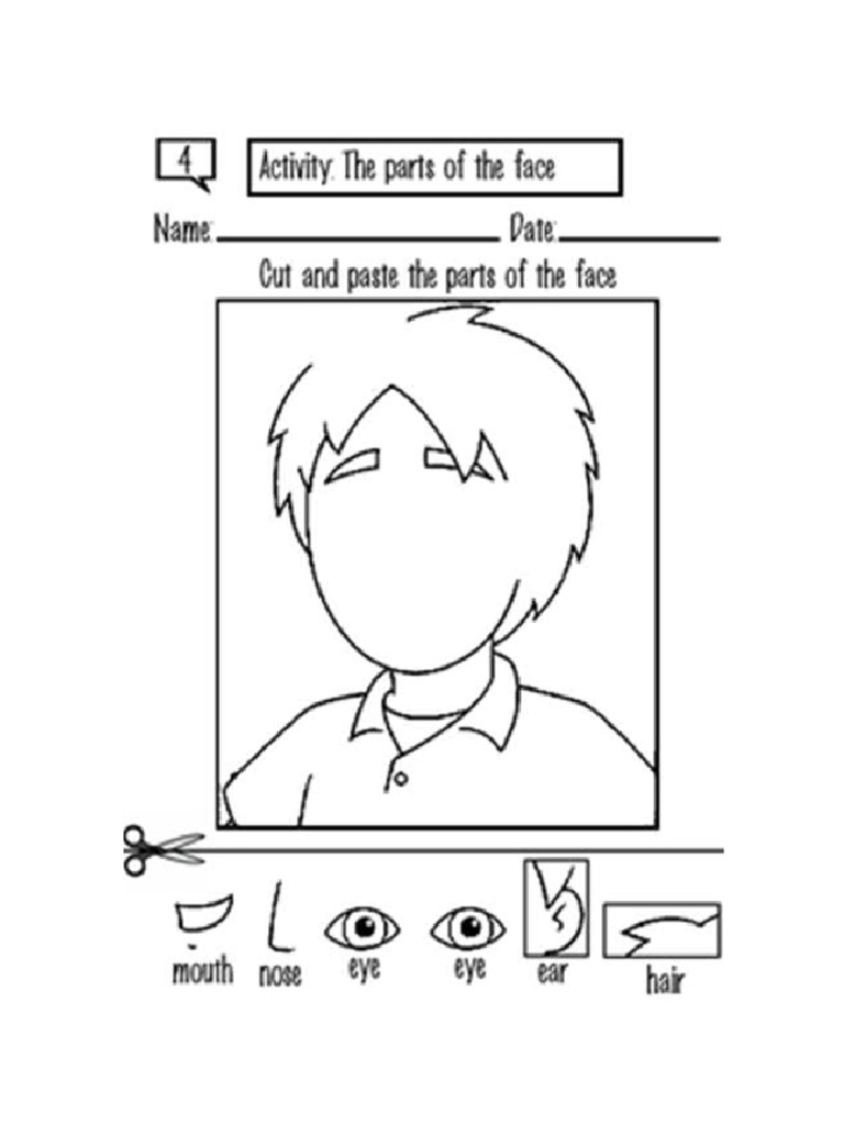 Parts of The Face | PDF
