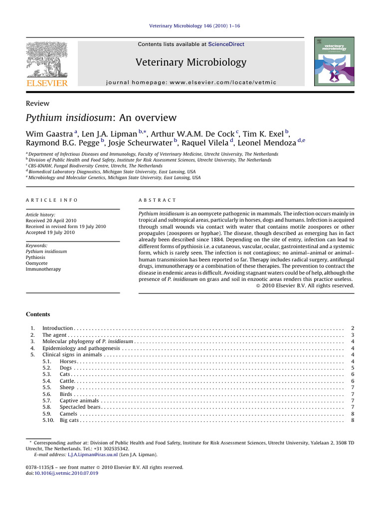 Pythium Insidiosum - An Overview | PDF | Biology