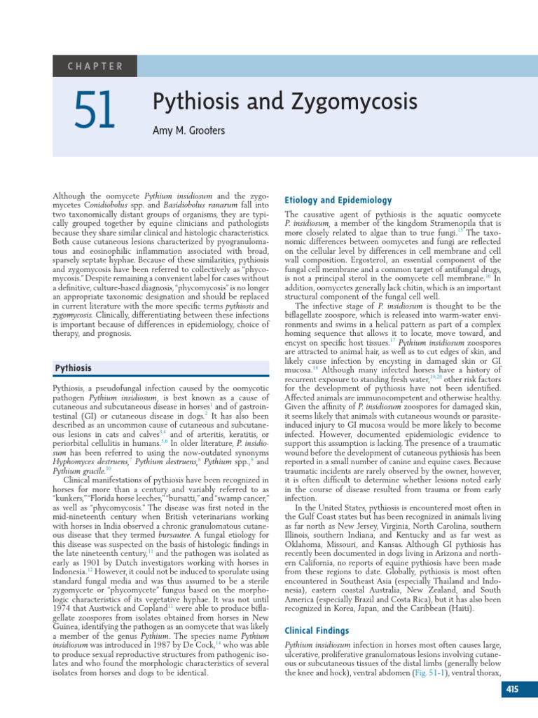 Pythiosis and Zygomycosis | PDF | Immunohistochemistry | Immunotherapy