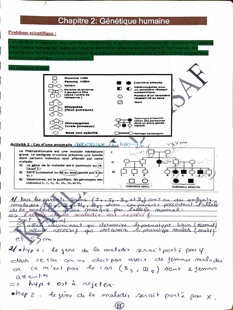 Genetique Humaine | PDF