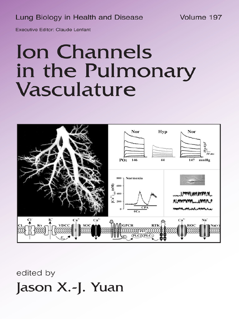 Lung Biology in Health Amp Disease Volume 197 Ion Channels in the ...