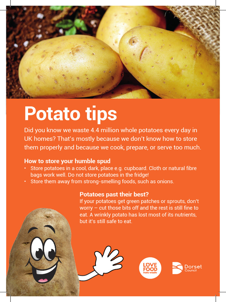 potato_tips | PDF | French Fries | Potato