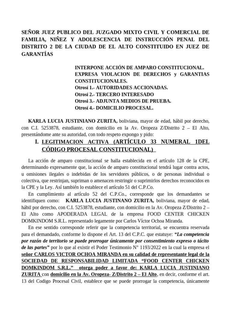 Acción de Amparo Constitucional en El Alto | PDF | Debido al proceso ...