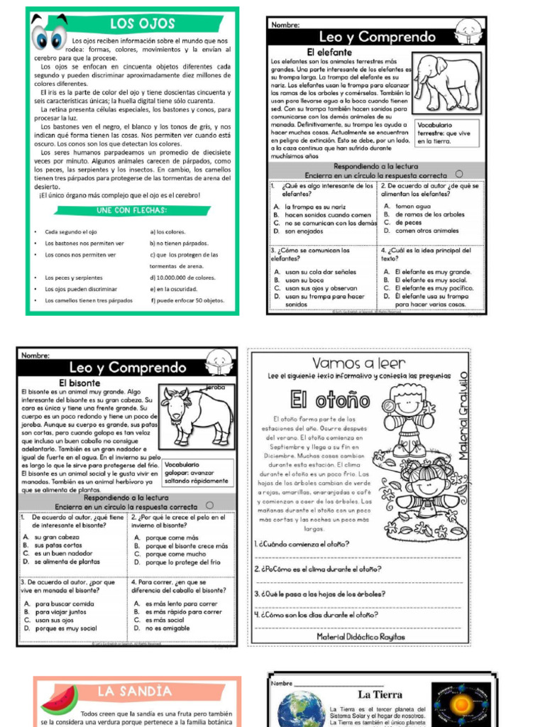 Guias de Comprension Lectora Julio | PDF