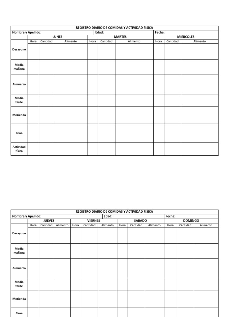 Registro Diario | PDF