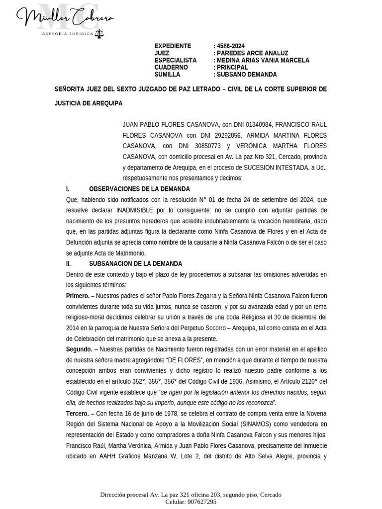 MODELO SUBSANACION DE DEMANDA | PDF | Justicia | Crimen y violencia