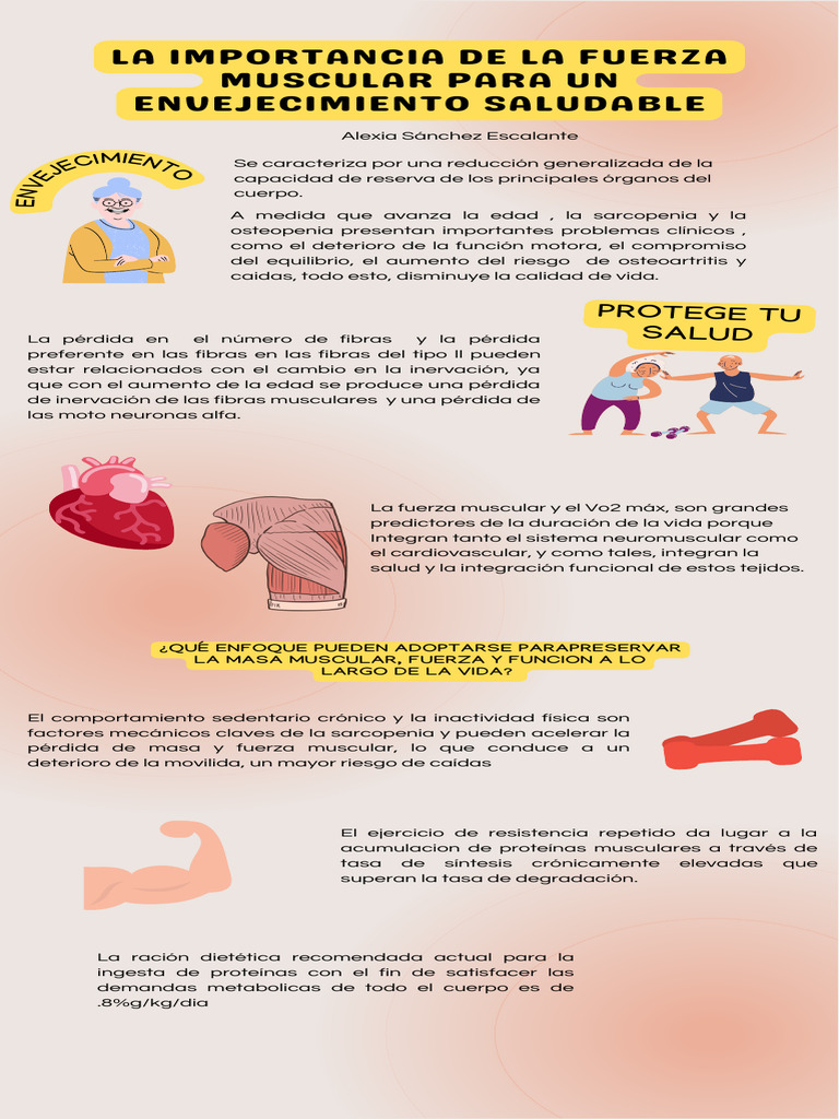 Fuerza Muscular y Envejecimiento Saludable | PDF | Músculo