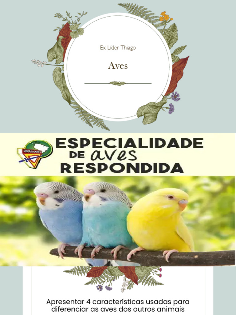 Características e Curiosidades das Aves | PDF | Aves | Ornitologia