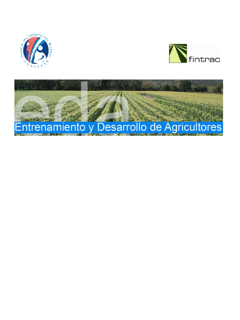 Manual de Producción de Maíz Grano | PDF | Siembra | Maíz