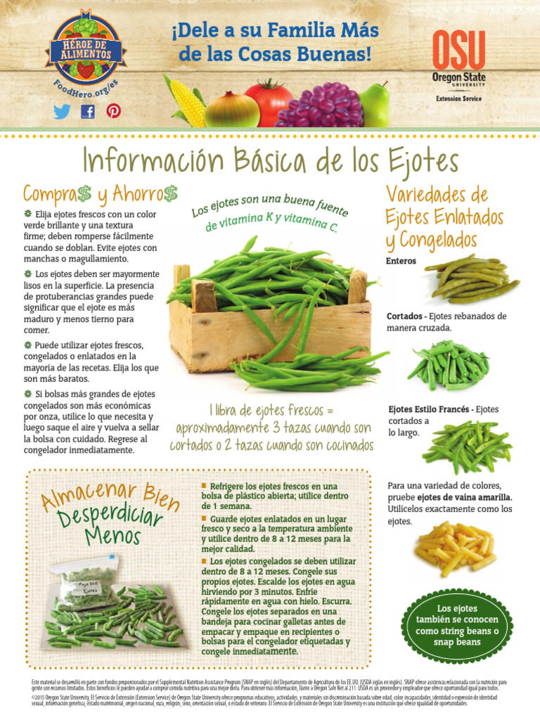 Guía Completa sobre Ejotes: Variedades y Recetas | PDF | ensalada ...