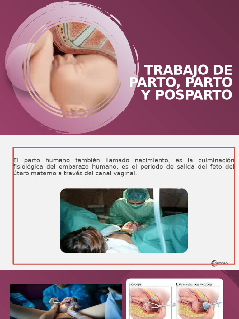 Trabajo de Parto, Parto y Posparto | PDF | Parto | Especialidades Medicas