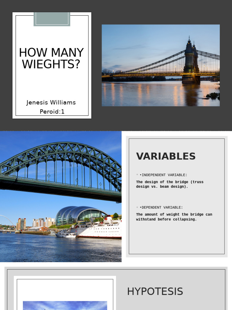 Science Project | PDF