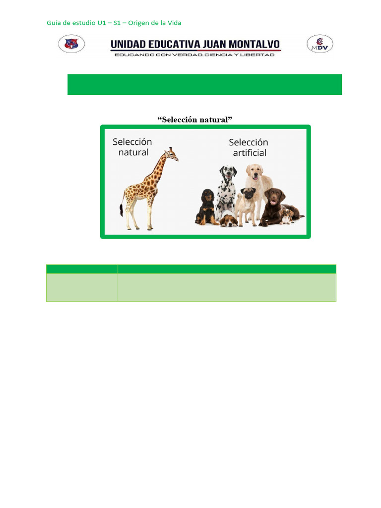 Selección Natural y Especiación en Biología | PDF | Seleccion natural ...