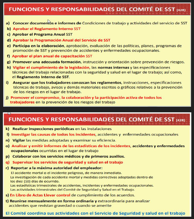Funciones Del Comite de SST | PDF