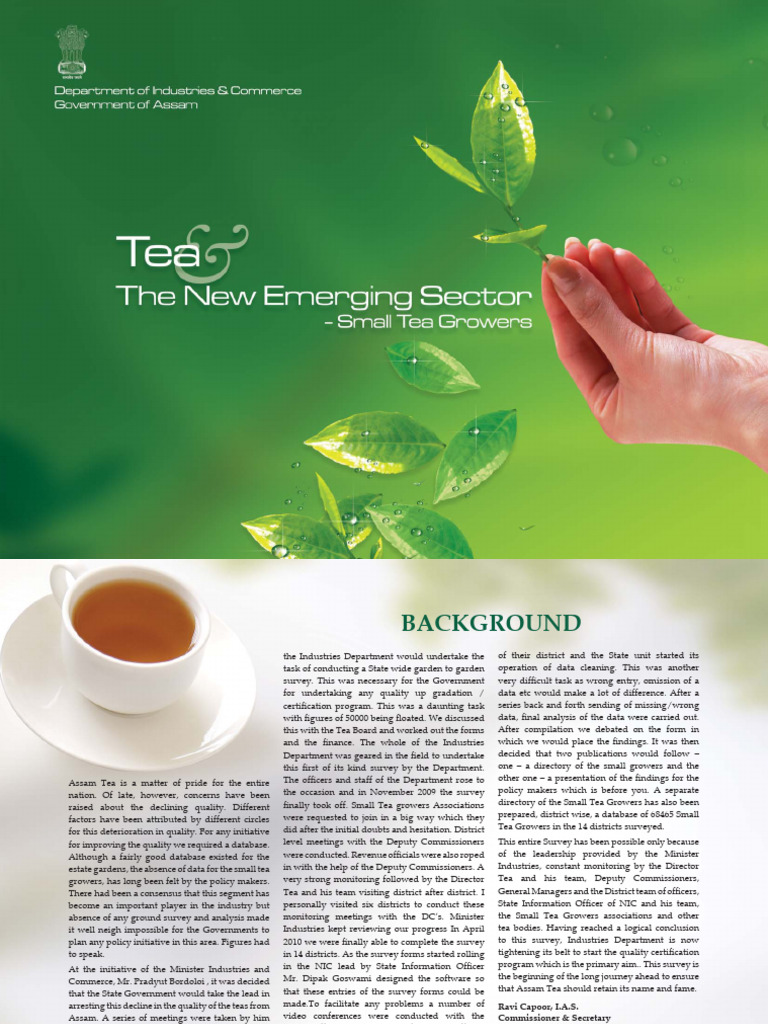 District Wise BLF Prices Survey 2023 | PDF | Tea | Caffeinated Drinks
