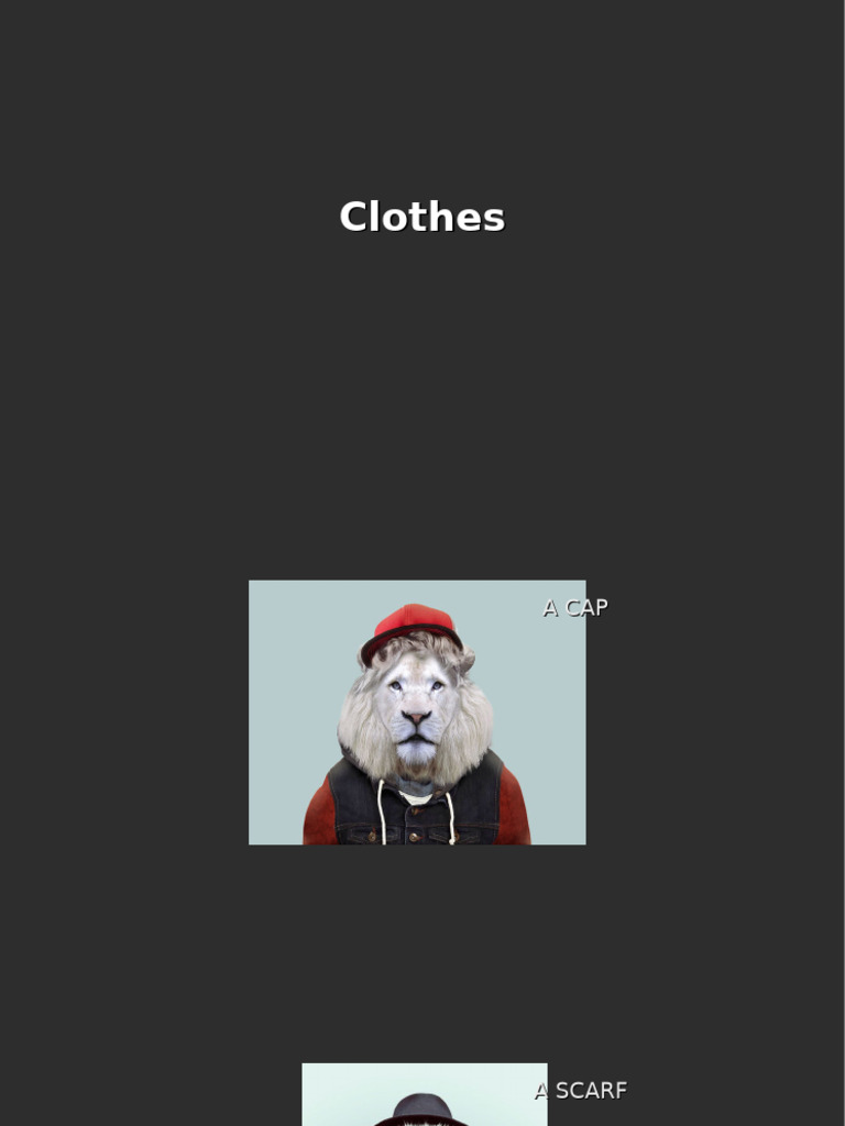 Clothes Sol Elem | PDF