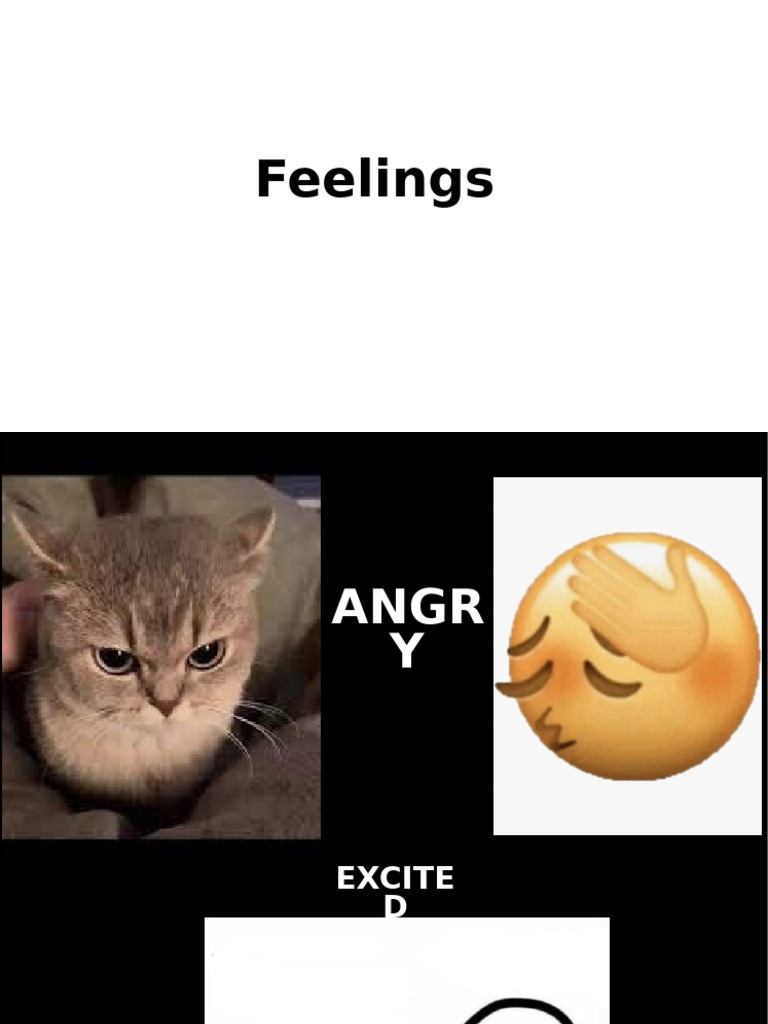 Feelings Sol Elem | PDF