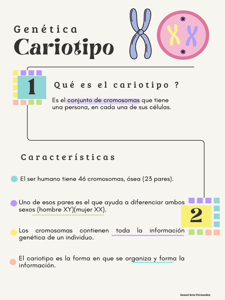 Importancia del Cariotipo Humano | PDF