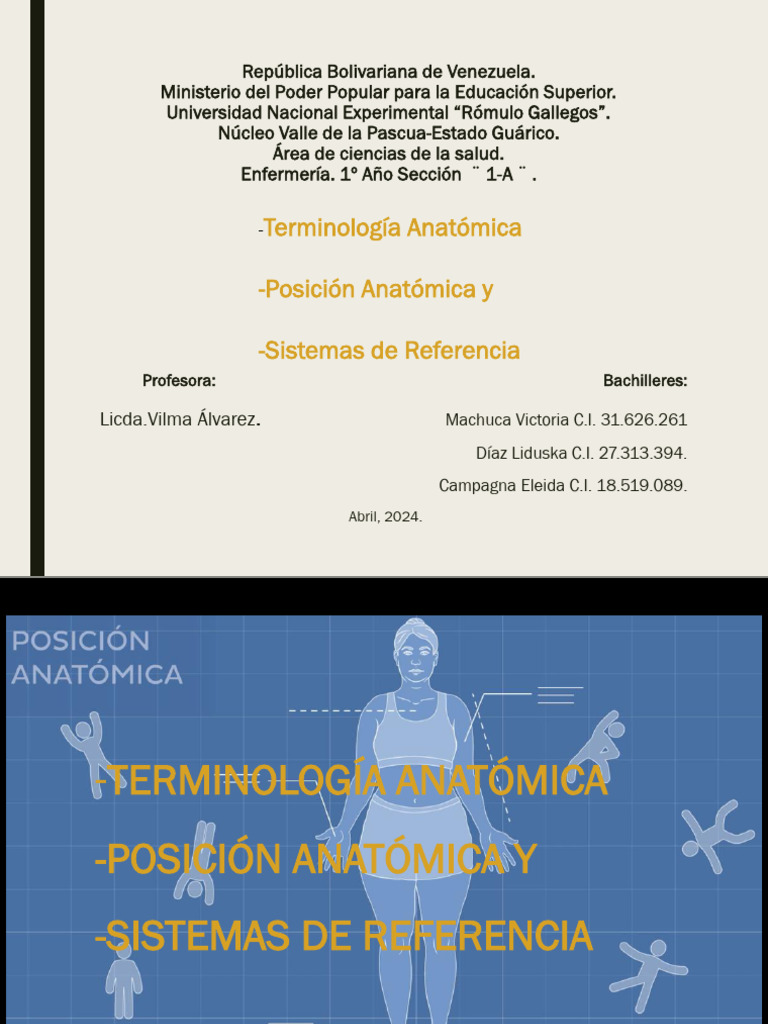 Presentacion Anatomia. Final Ultimo | PDF | Términos anatómicos de ubicación | Abdomen