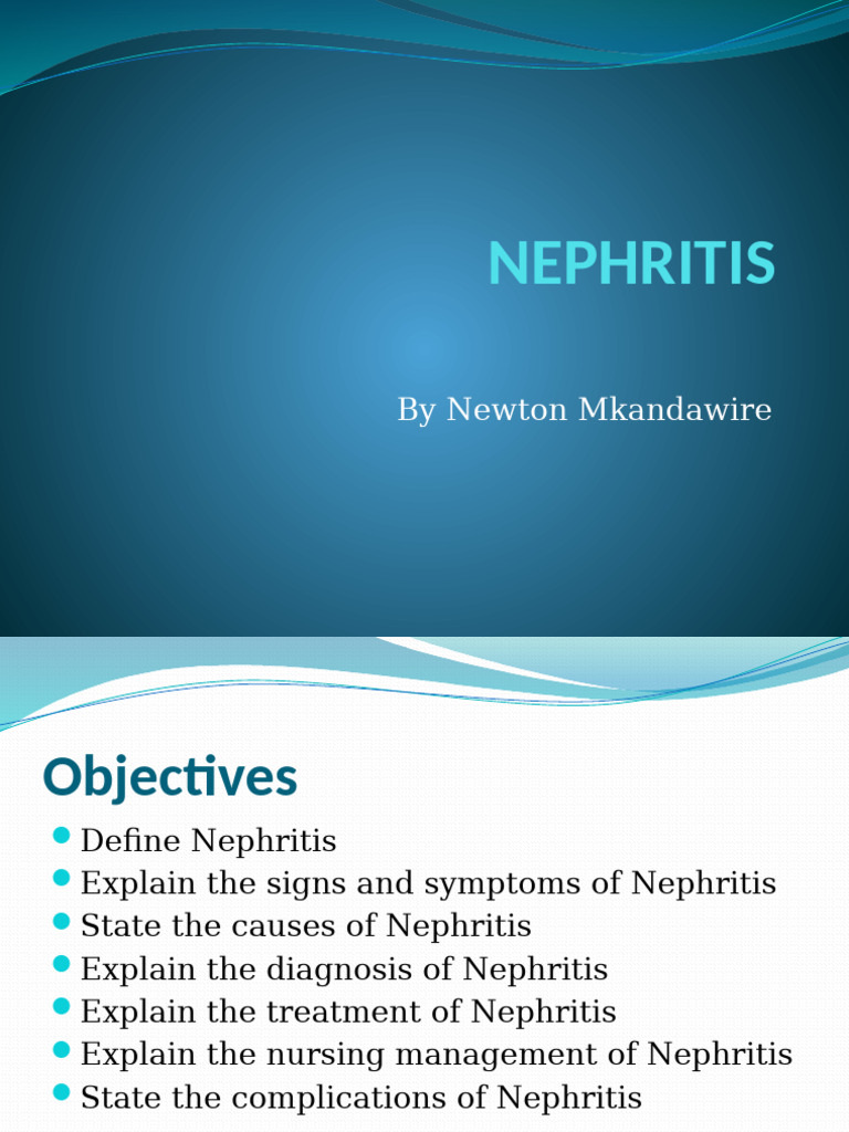 Understanding Nephritis: Causes, Symptoms, and Management | PDF ...