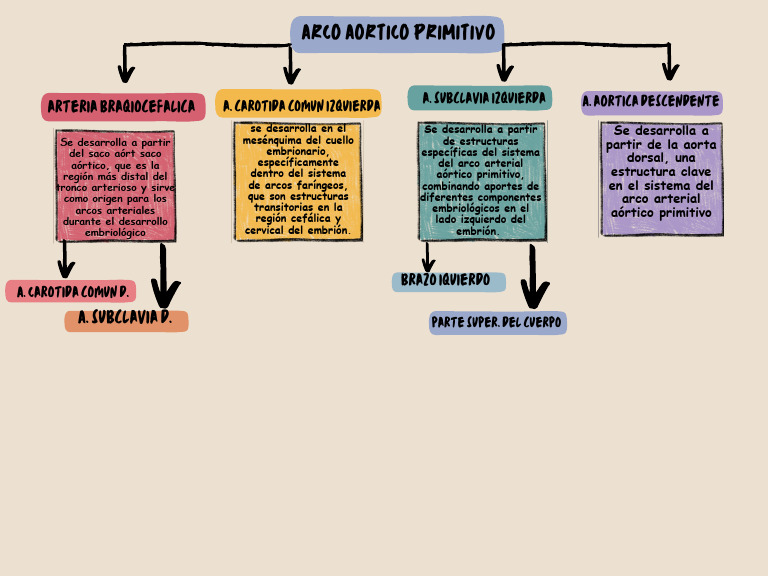 Colorful Creative Concept Map Graph | PDF