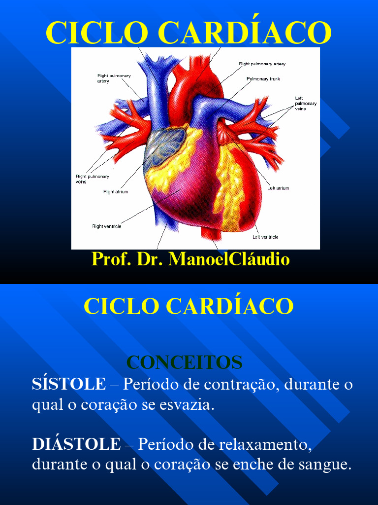 Entendendo o Ciclo Cardíaco: Fases e Funções | PDF | Ventrículo ...