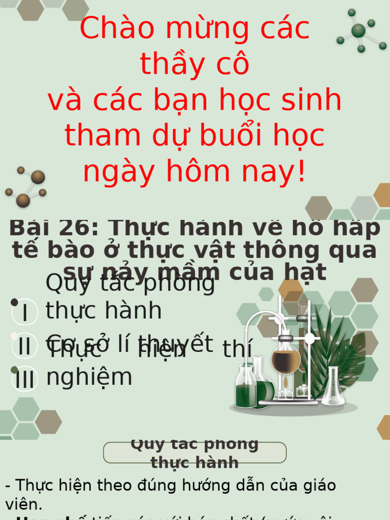 Bài 26. Thực Hành Về Hô Hấp Tế Bào ở Thực Vật Thông Qua Sự Nảy Mầm Của ...