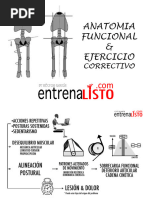 Rotación de Tronco | PDF | La columna vertebral | Sistema ...