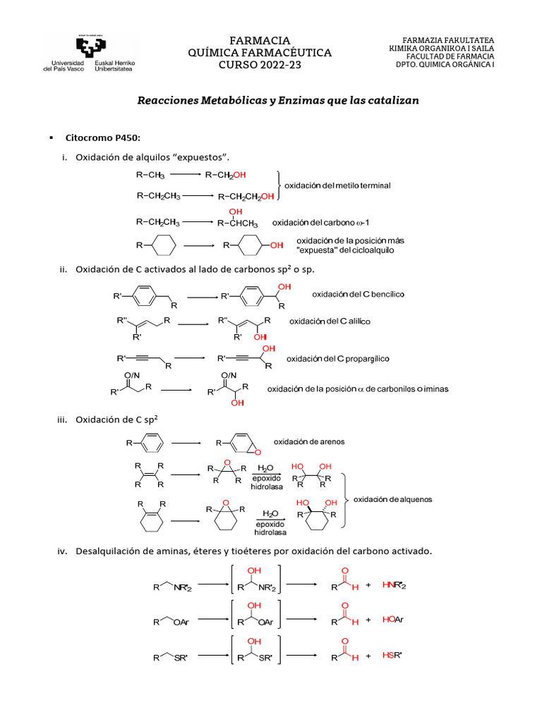 TEMA 3 - Metabolismo Complementario | PDF