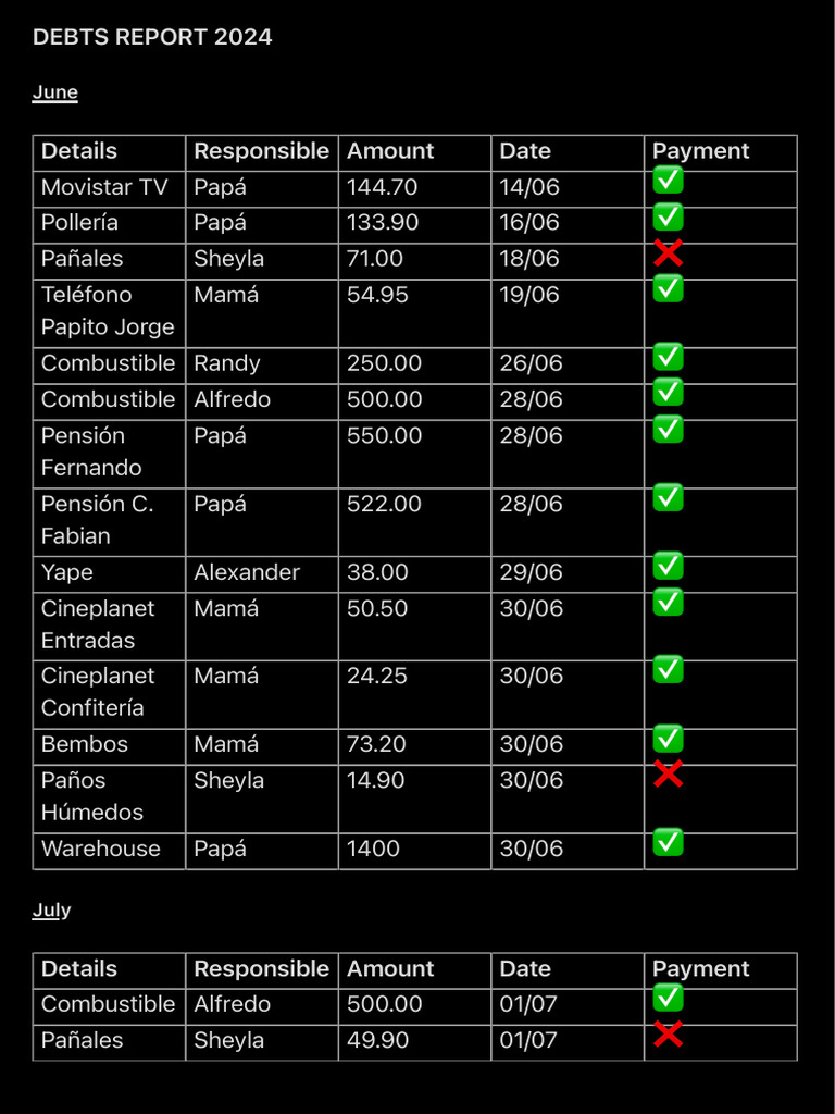 Debts Report 2024 | PDF