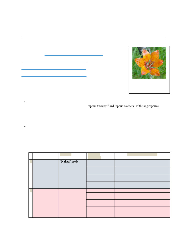 Annotated-Plant Diversity II-Seed Plants - The Organisms 7feb23 Word ...
