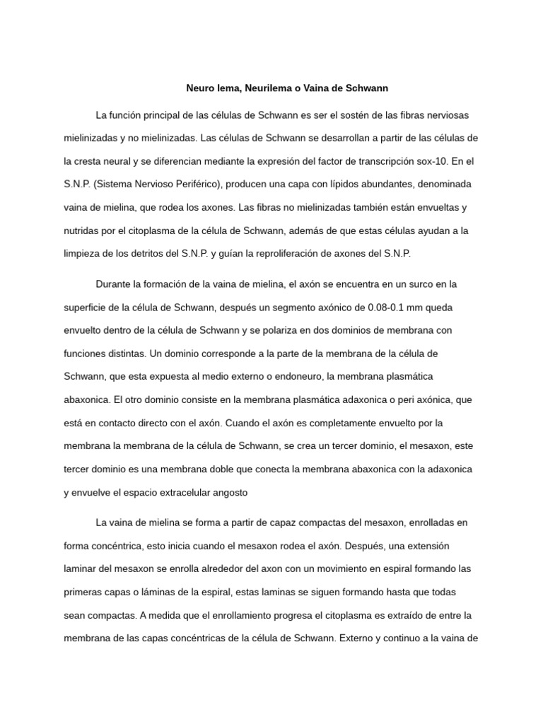 neurolema, neurilema, vaina de schwann_080048 | PDF