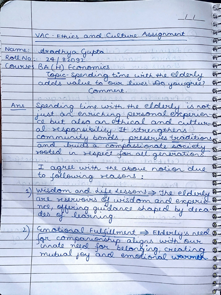 VAC Assignment | PDF