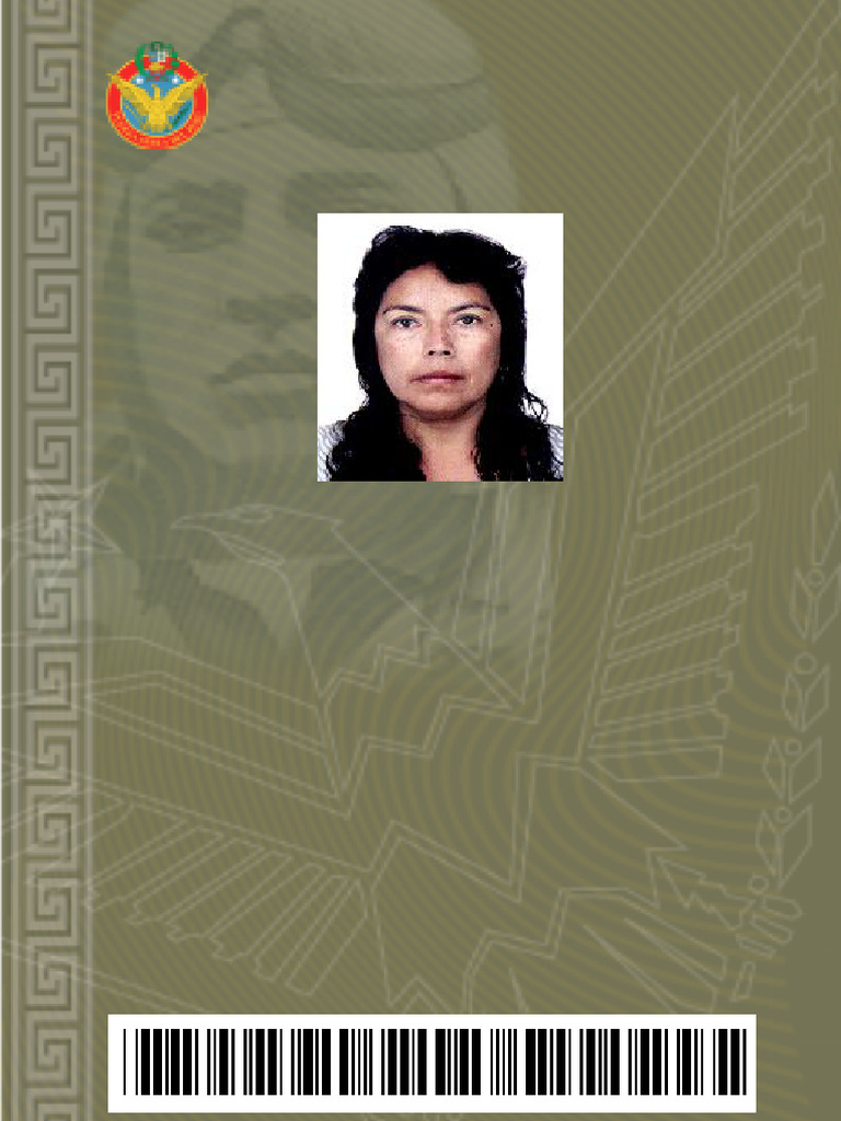 Carnet Digital Fap Vira | PDF