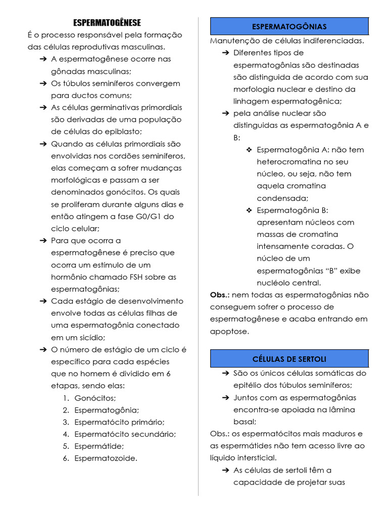 Desenho do Processo de Espermatogênese | PDF | Sistema reprodutivo ...