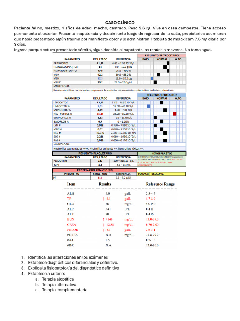 Diagnóstico y Tratamiento en Gato Inapetente | PDF