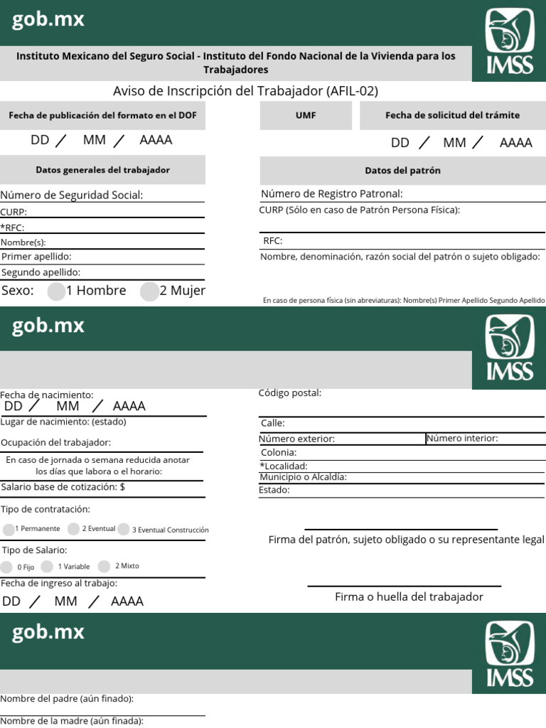 Formato Imss | PDF
