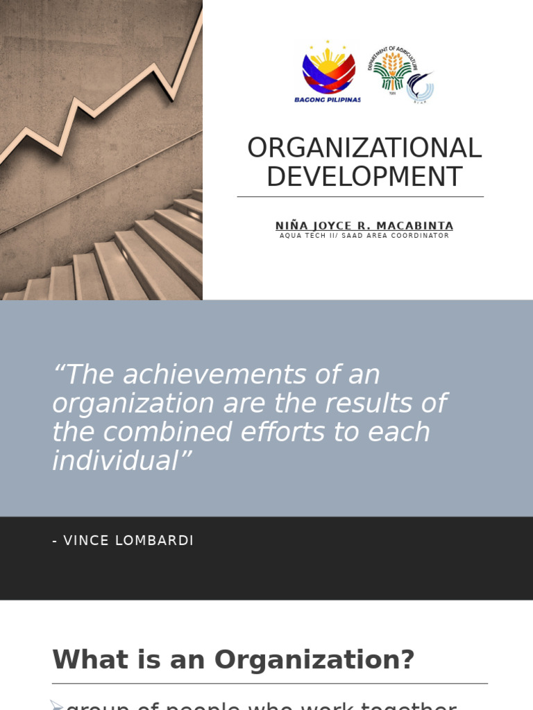 Organizational Development | PDF