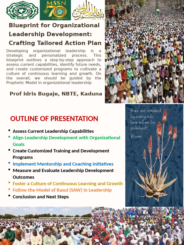 Blueprint For Organizational Leadership Development Crafting A Tailored ...