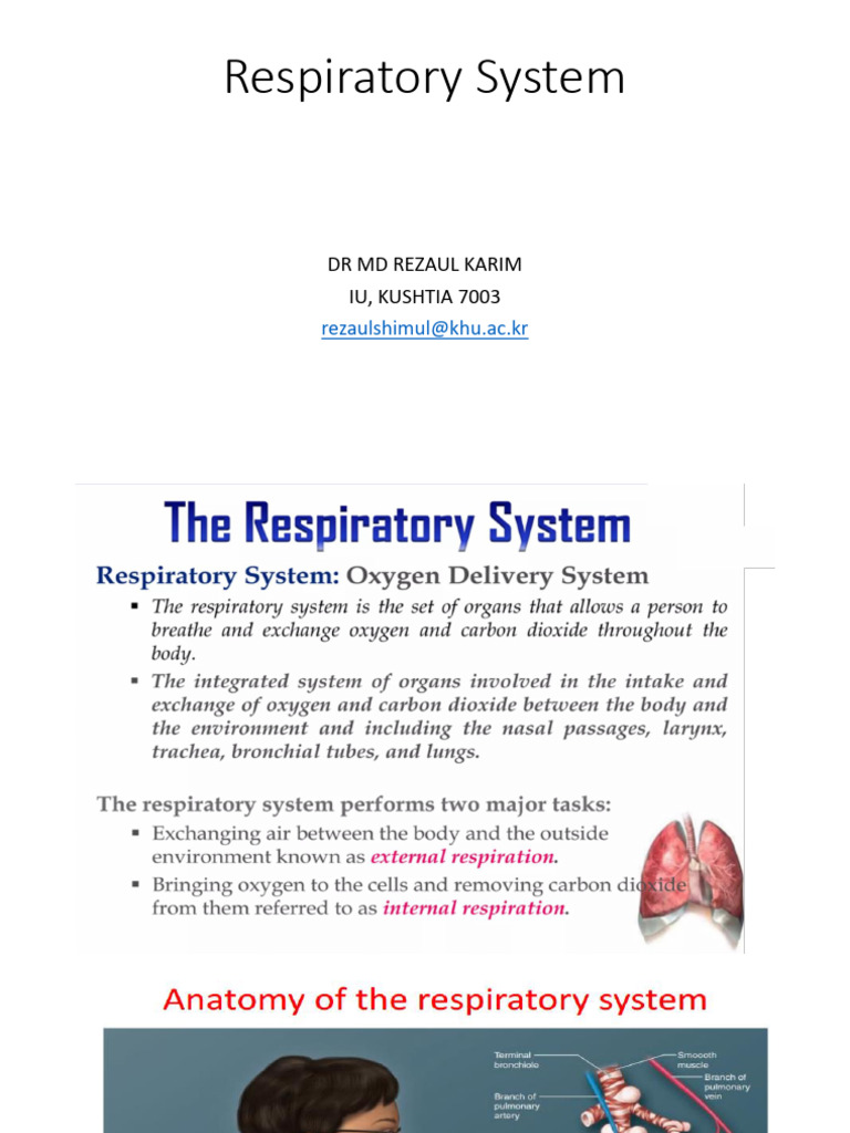Res System | PDF