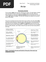 Grade 12 Life Science the Eye | PDF | Eye | Myopia