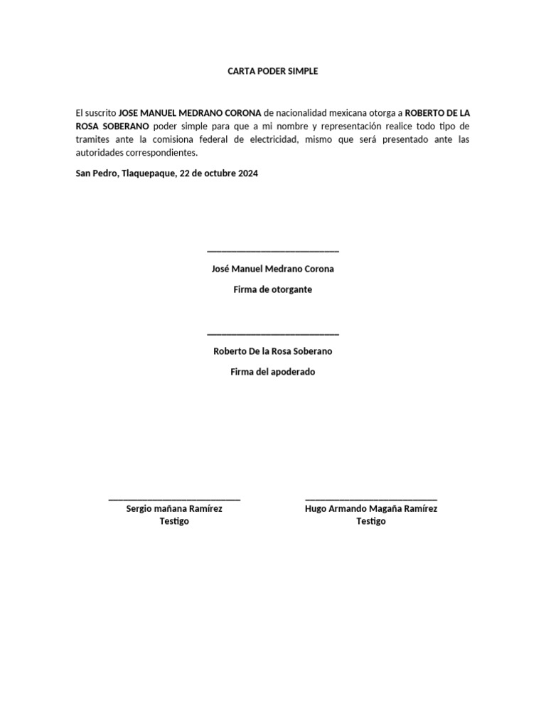 Carta Poder Simple para CFE | PDF