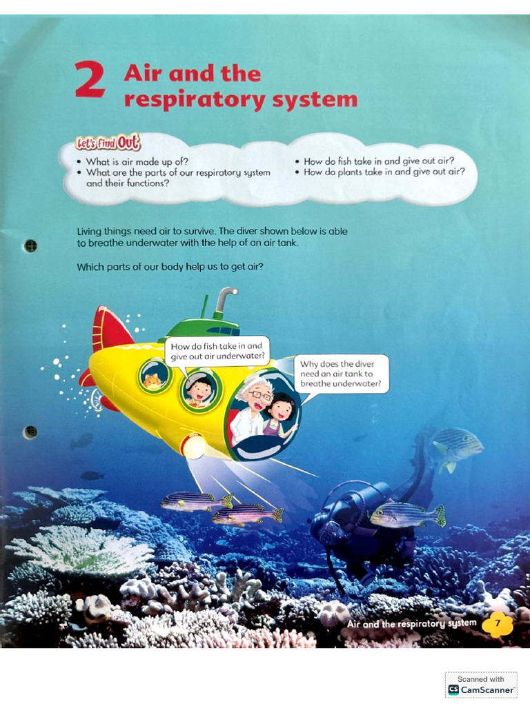 My Pals Are Here! P5 Systems 2 The Air and The Respiratory System | PDF