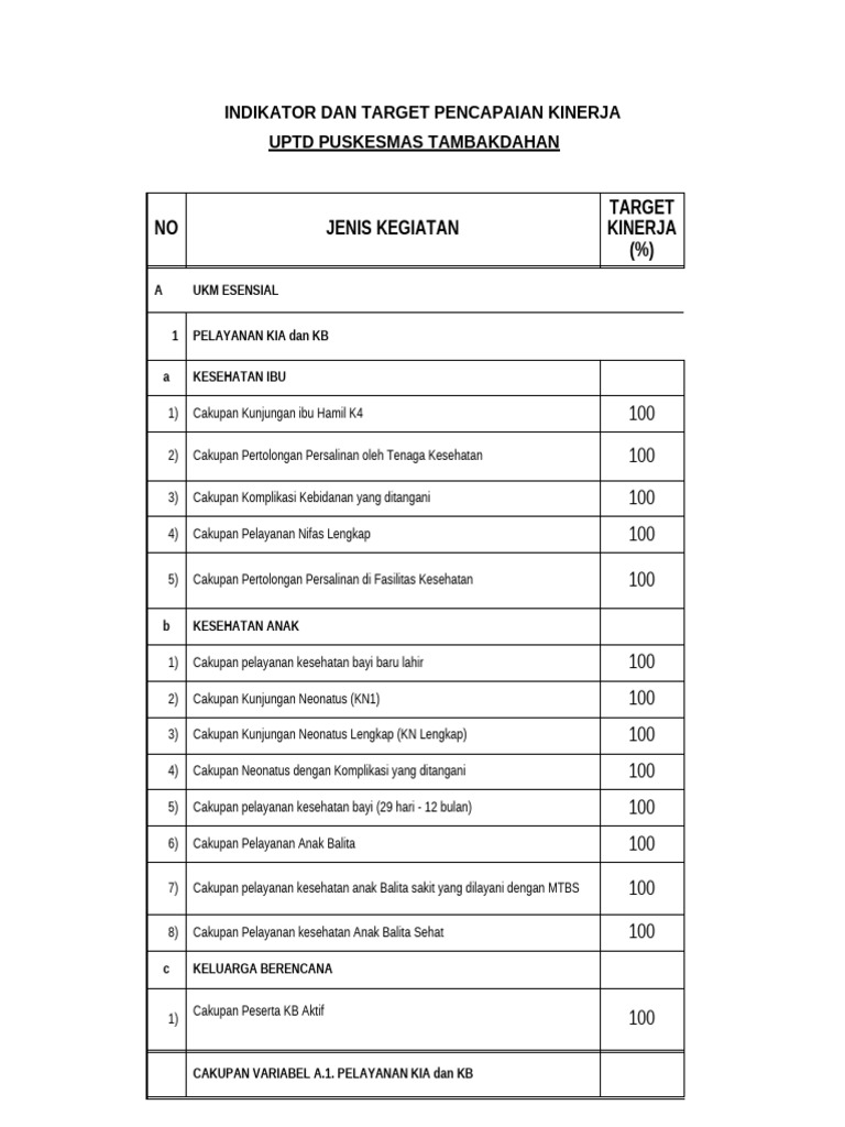 SK INDIKATOR DAN TARGET PENCAPAIAN KINERJA UKM Baru | PDF