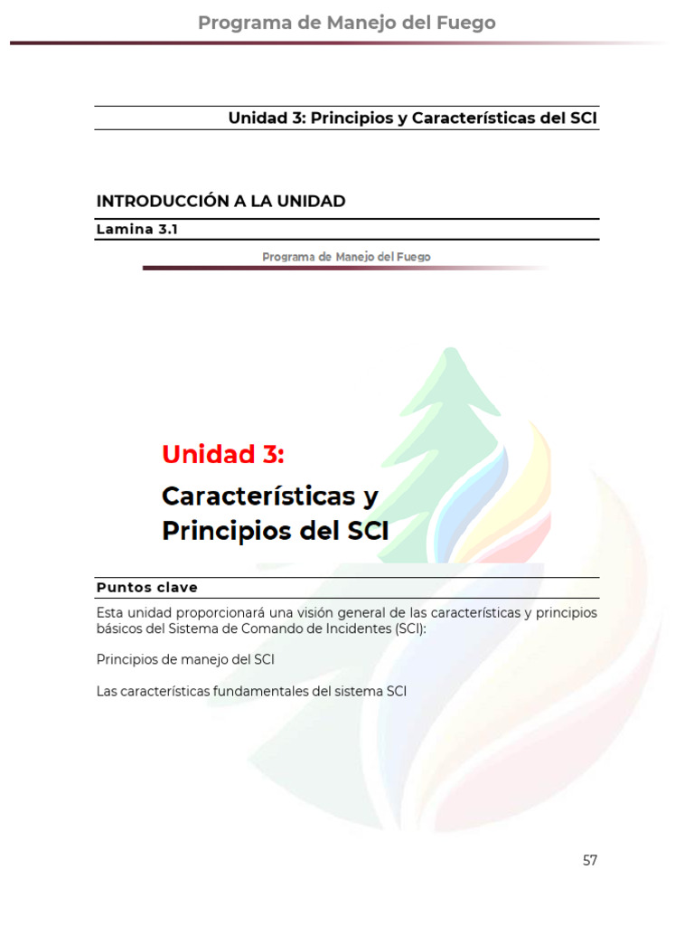 Unidad 3. Principios y Características Del SCI | PDF | Planificación