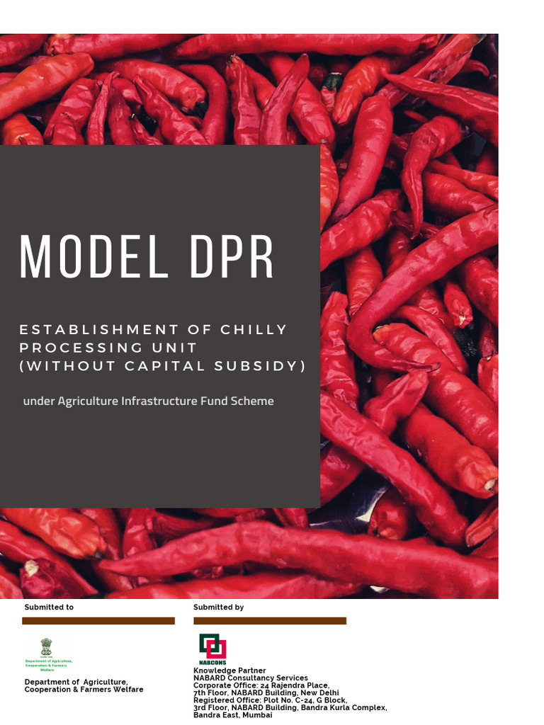 Chilly Processing Unit Guide | PDF | Depreciation | Chili Pepper