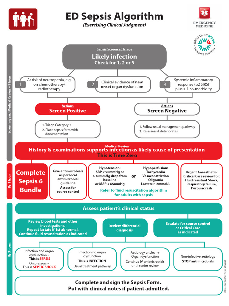 Ed Sepsis Management Algorithm | PDF | Sepsis | Immunology