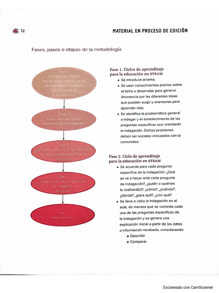 Metodologías Aprendizajes Basado Indagación, STEAM Como Enfoque | PDF